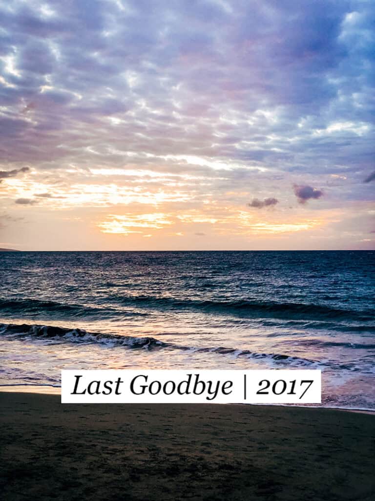 Last Goodbye 2017 + Top 10 Recipes of the Year | Little Spice Jar