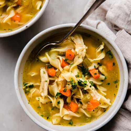 Flu-Fighting Chicken Noodle Soup Recipe | Little Spice Jar